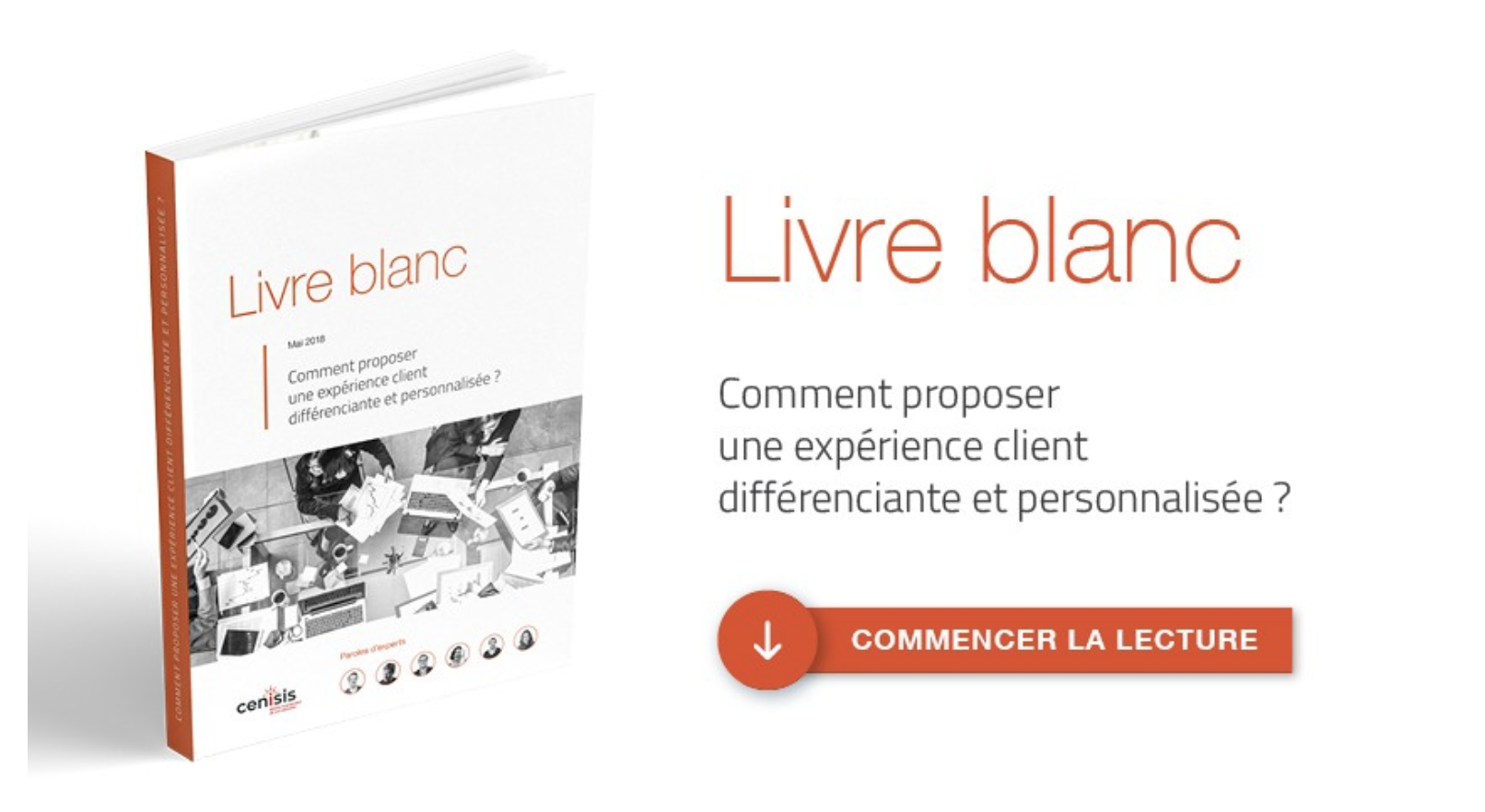 Archives des Livre blanc - Cenisis