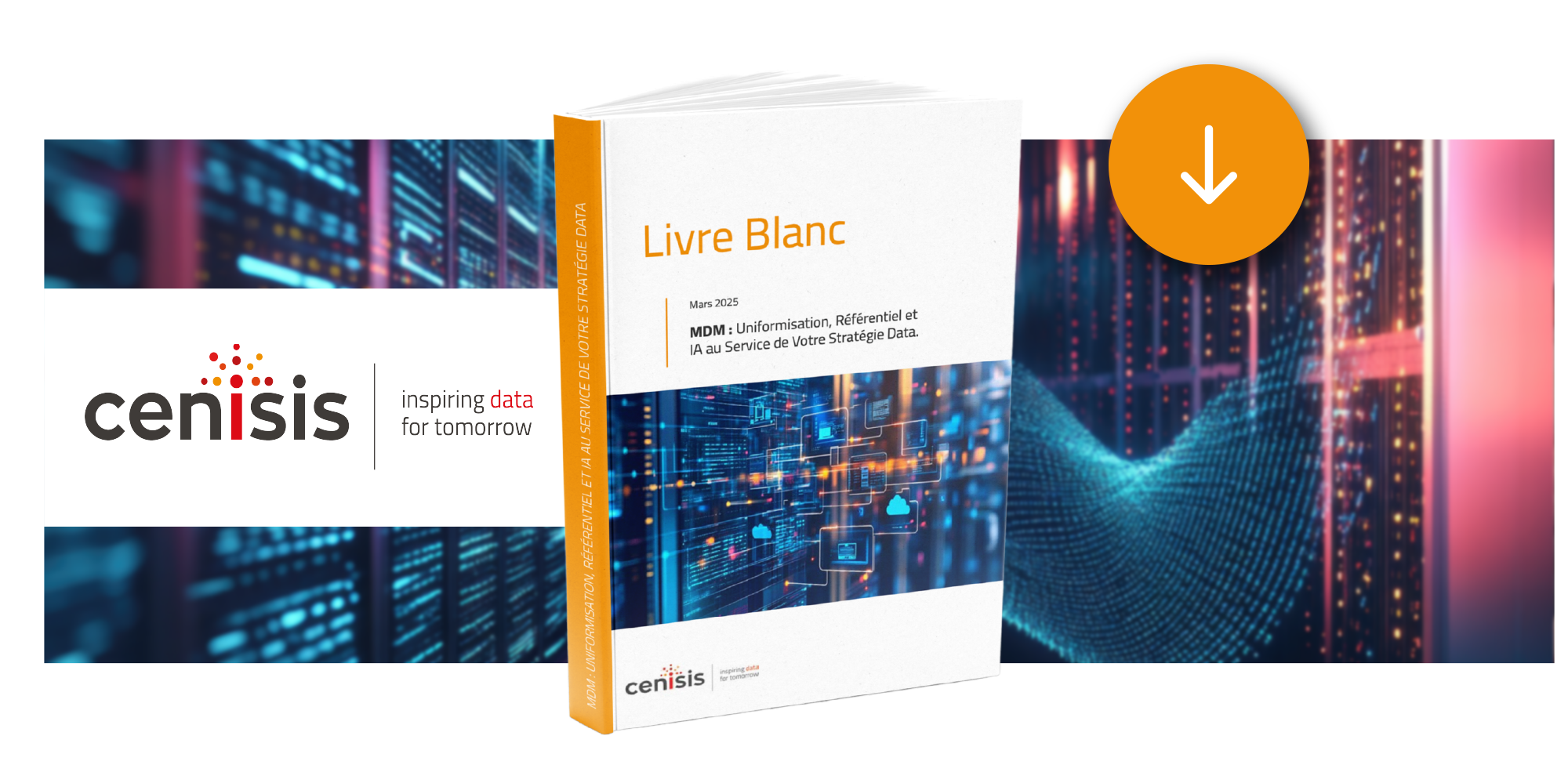 MDM : Référentiel et IA au Service de Votre Stratégie Data